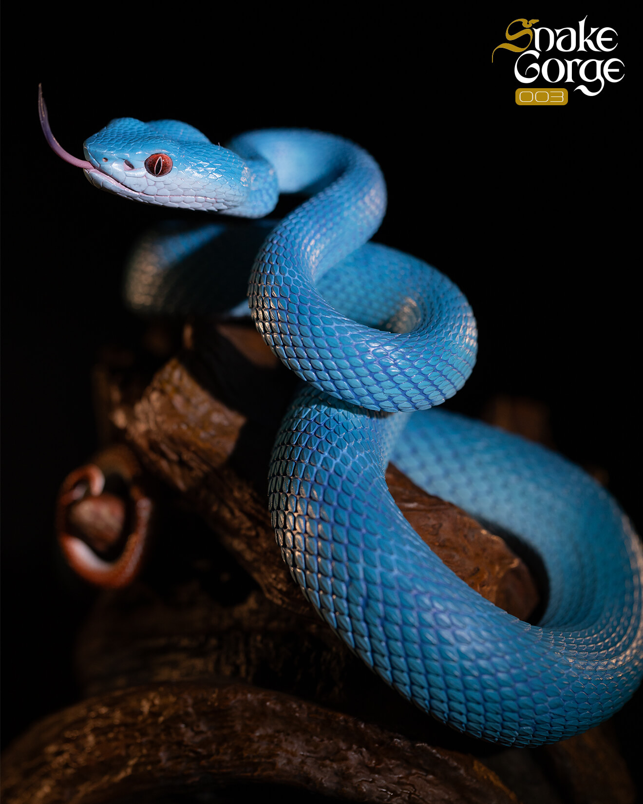 Indonesian Pit Viper Resin Statue 003 - SnakeGorge Studio - Collector Figures